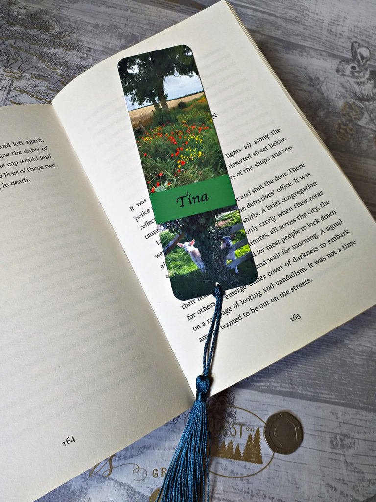 Luxury Tall Bookmark - 150 x 45mm (Updated! Rose/Pink Gold options ...