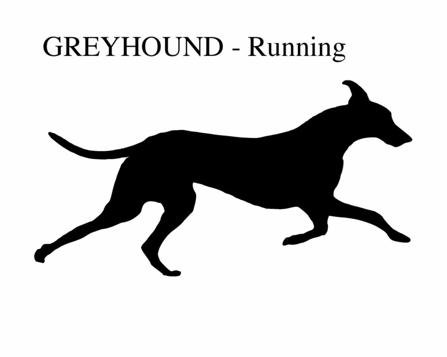 Dog Shape - Greyhound (Standing or Running) - Subli Metals Ltd