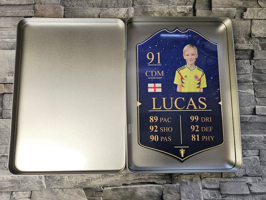 FIFA Shield (with NEW metal stand options!) - Subli Metals Ltd