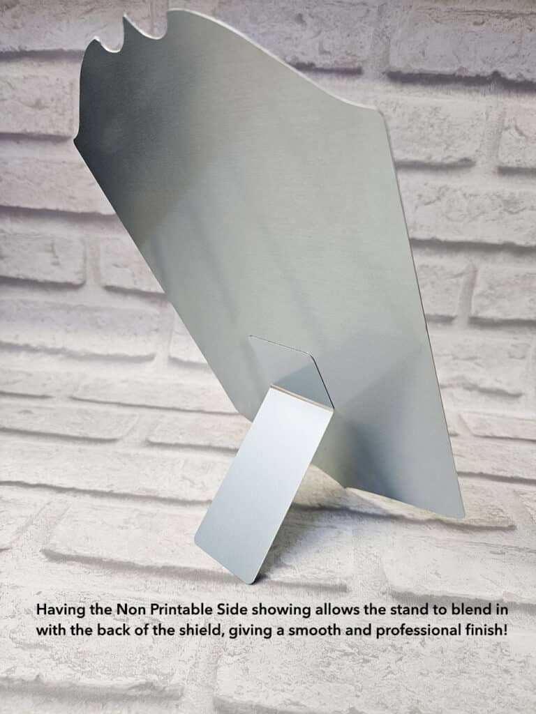 FIFA Shield (with NEW metal stand options!) - Subli Metals Ltd