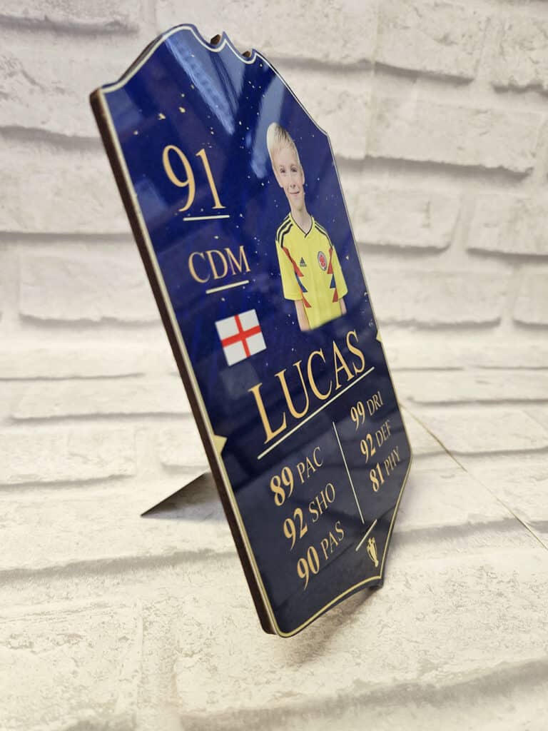 FIFA Shield (with NEW metal stand options!) - Subli Metals Ltd