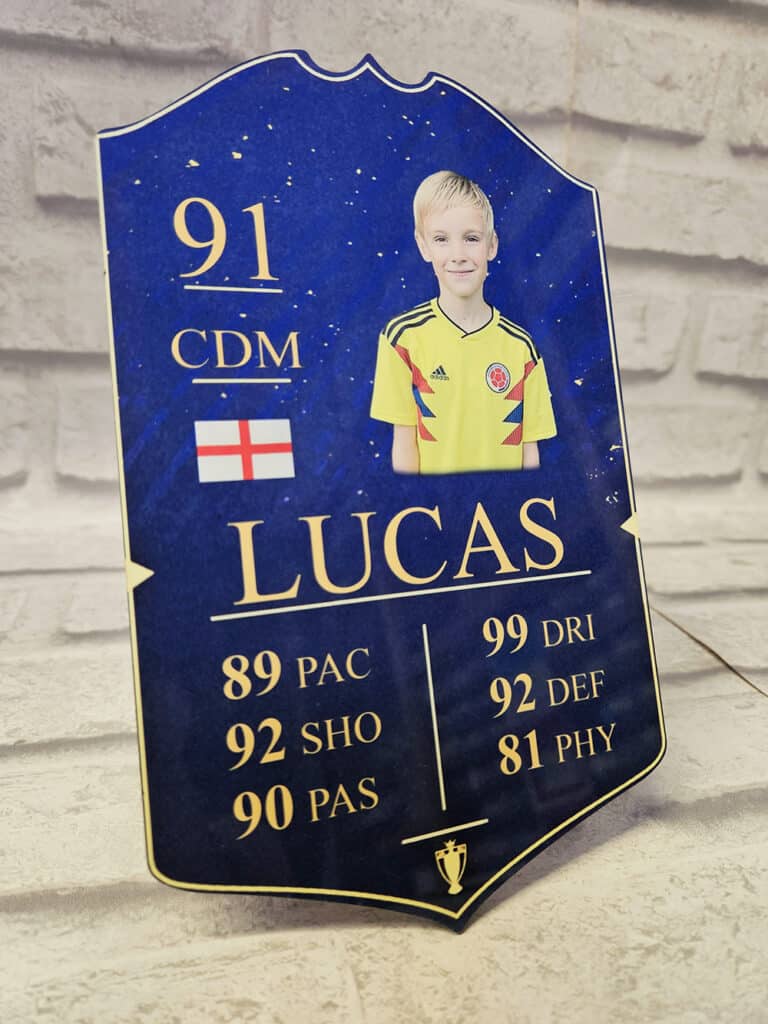 FIFA Shield (with NEW metal stand options!) - Subli Metals Ltd