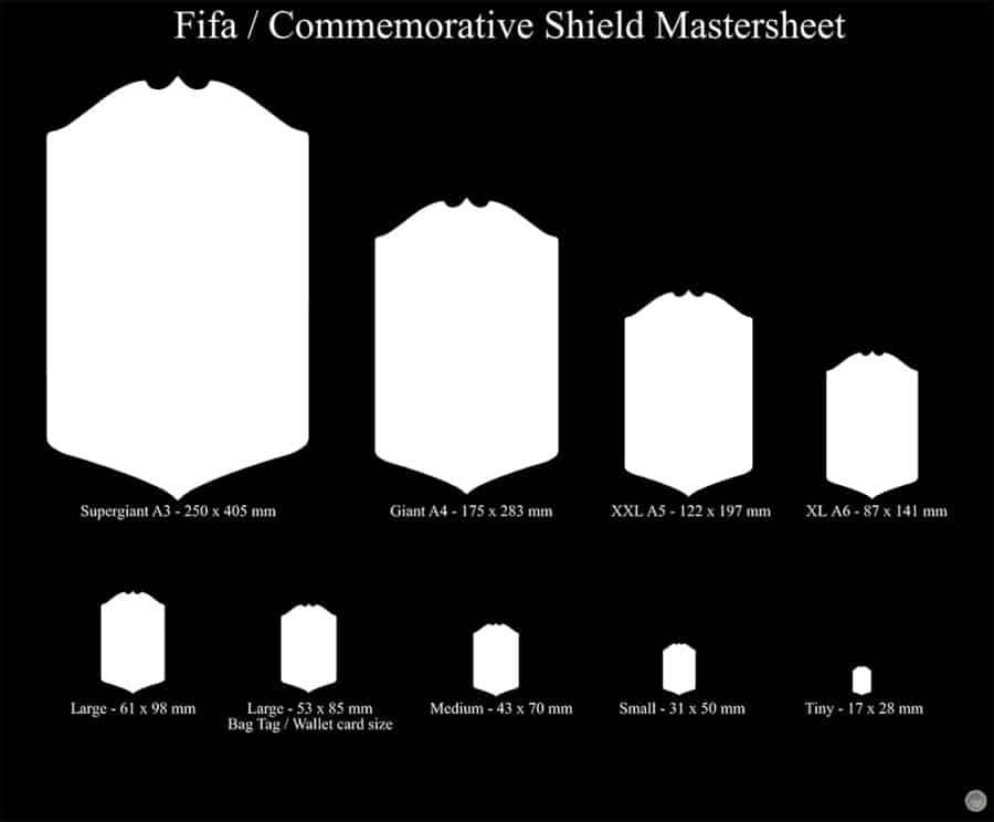 FIFA Shield (with NEW metal stand options!) - Subli Metals Ltd