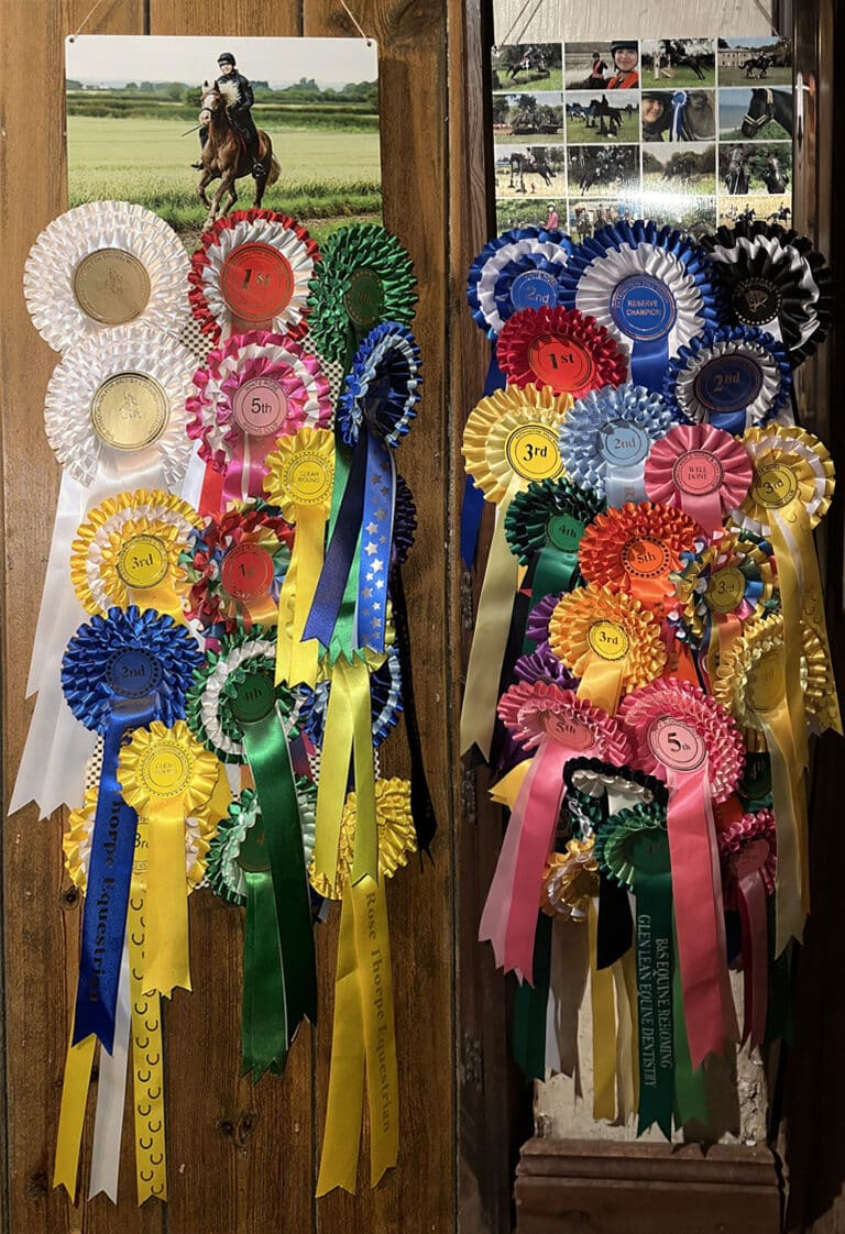 Rosette Holder with Mesh - Subli Metals Ltd